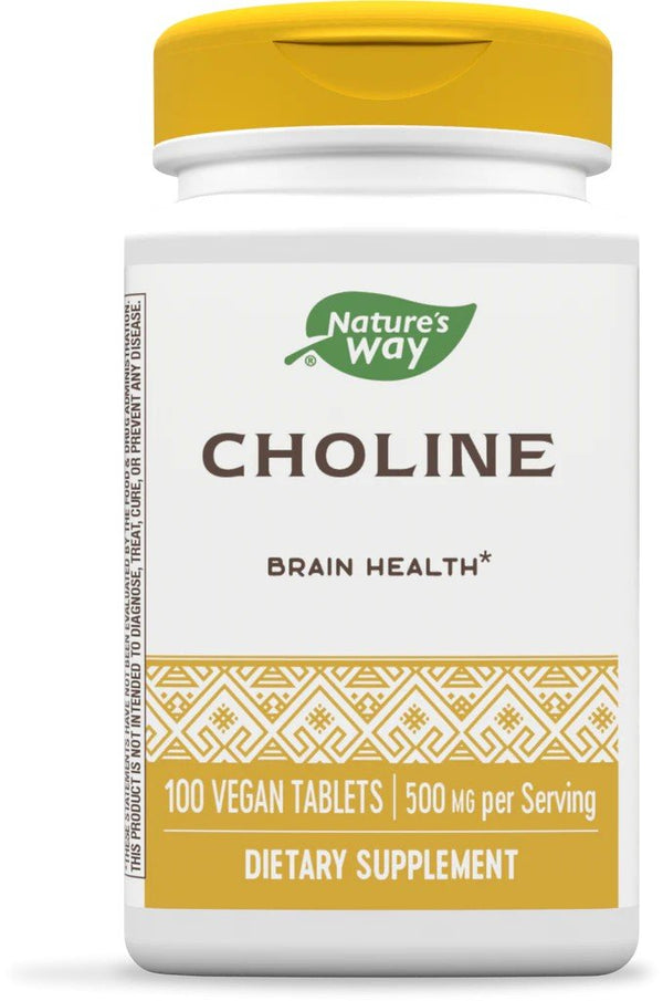 Nature's Way Choline 500mg 100 Tablet - Healthy Planet Shopping